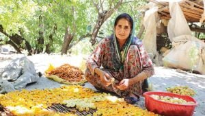 Home - Hashoo Foundation