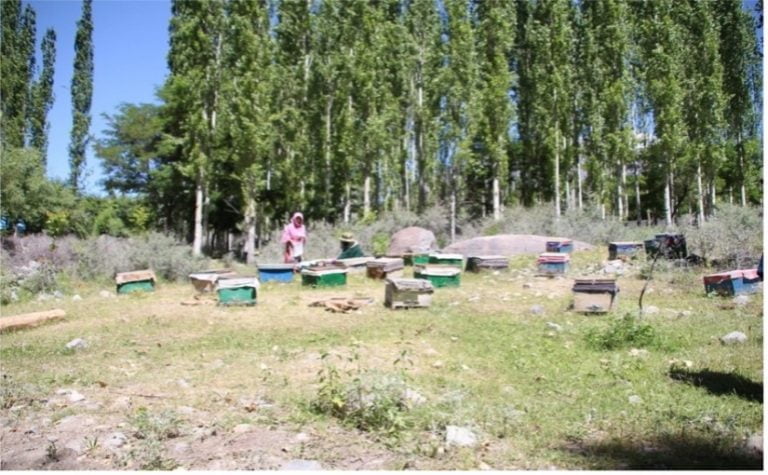 Home - Hashoo Foundation